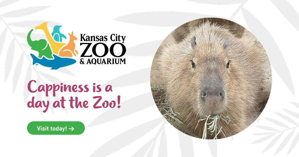 Daily Schedule | Kansas City Zoo & Aquarium